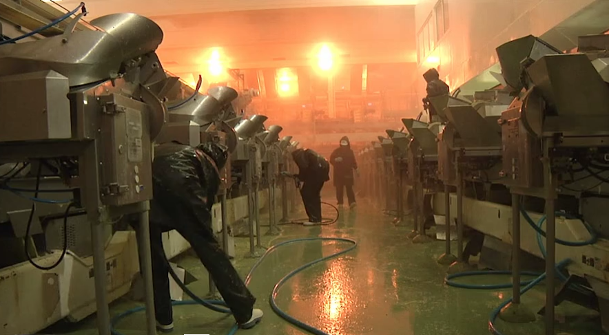 Seretram - Géant Vert (extrait) - Roland Dargelez